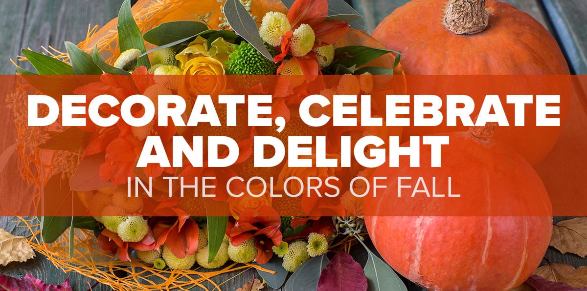 A Guide to Fall Flowers and Trendy Fall Colors - Campbell's Flowers